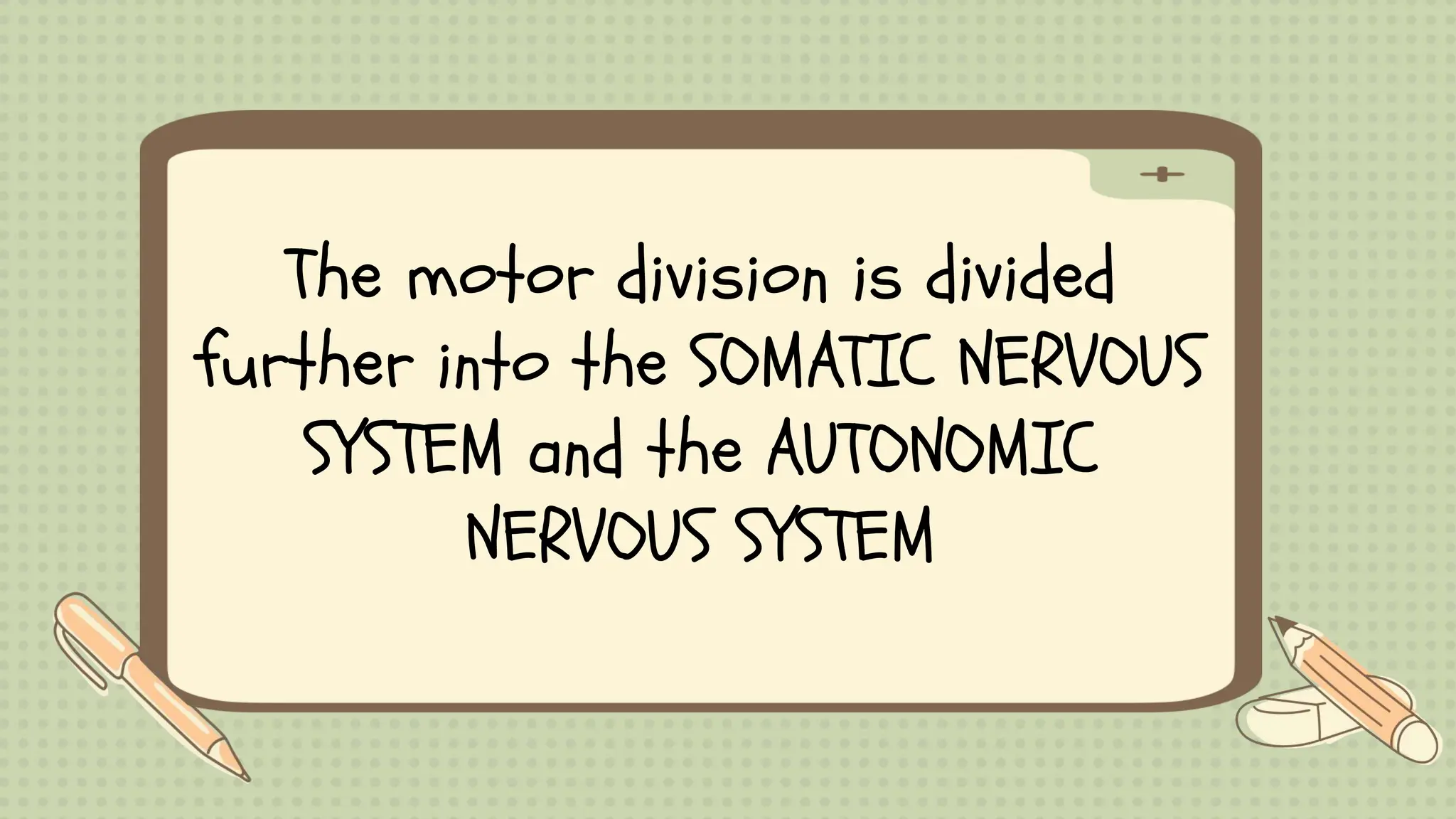 Nervous System Lesson for Grade 6 in Science | PPTX
