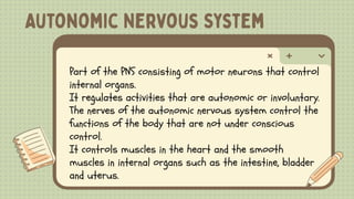 Nervous System Lesson for Grade 6 in Science | PPTX