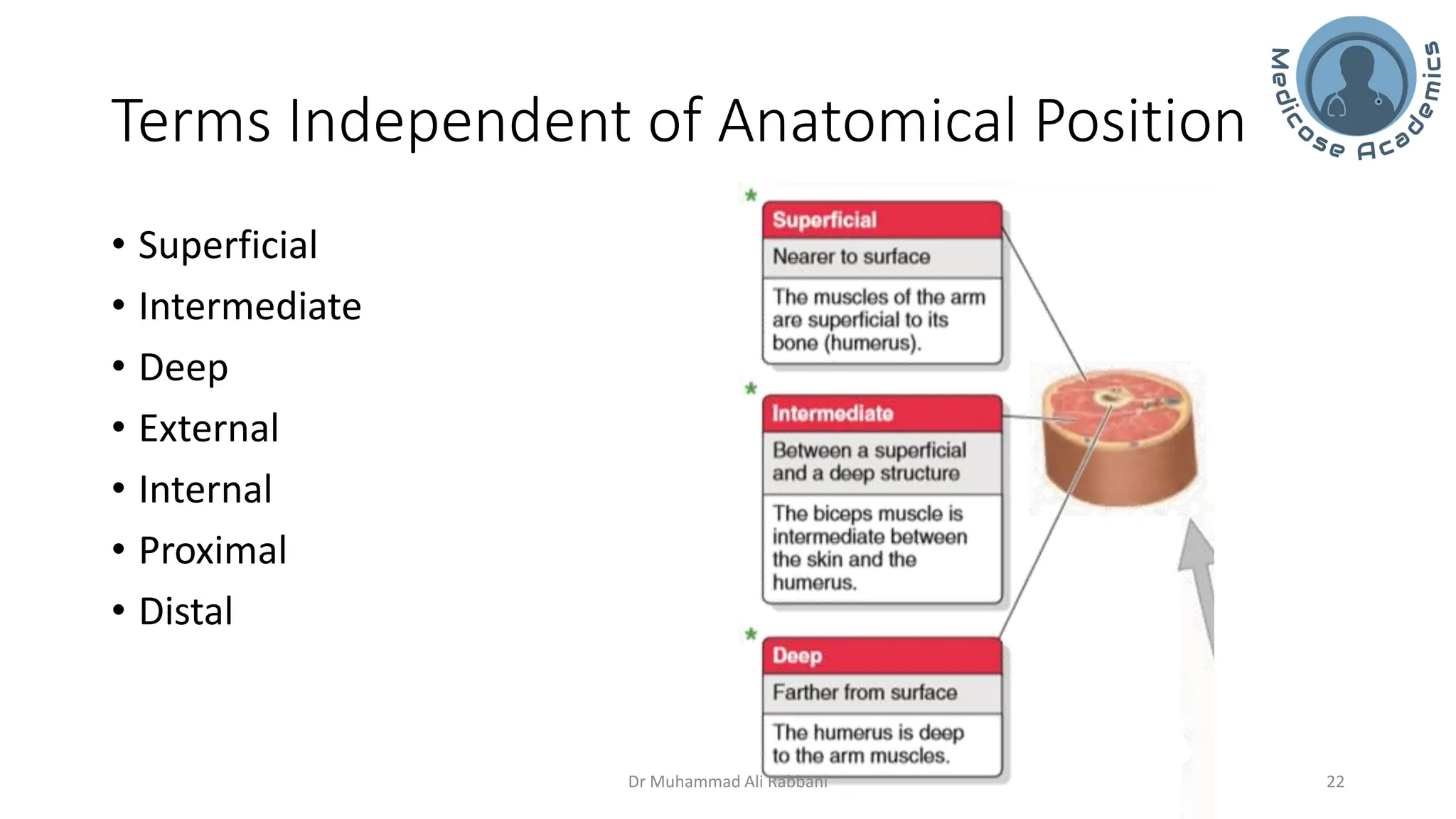 Introduction & Terms of Anatomical Nomenclature.pdf