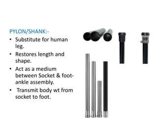 1.PROSTHETIC COMPONENTS.ppt for rehabbbx | PPTX | Foot Health ...