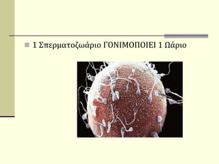 1.4 ΑΝΑΠΑΡΑΓΩΓΙΚΟ ΣΥΣΤΗΜΑ ΑΝΘΡΩΠΟΣ.ppt