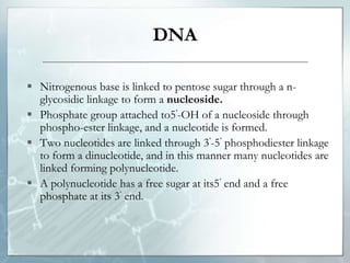1. MOLECULARBASISOFINHERITANCE.pps.ppt