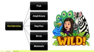 Science Form 2 DLP Classification of Animals | PPT