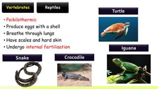 Science Form 2 DLP Classification of Animals | PPT