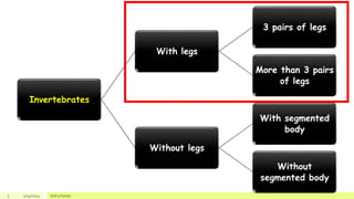 Science Form 2 DLP Classification of Animals | PPT