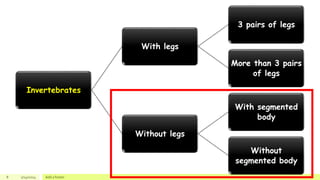 Science Form 2 DLP Classification of Animals | PPT