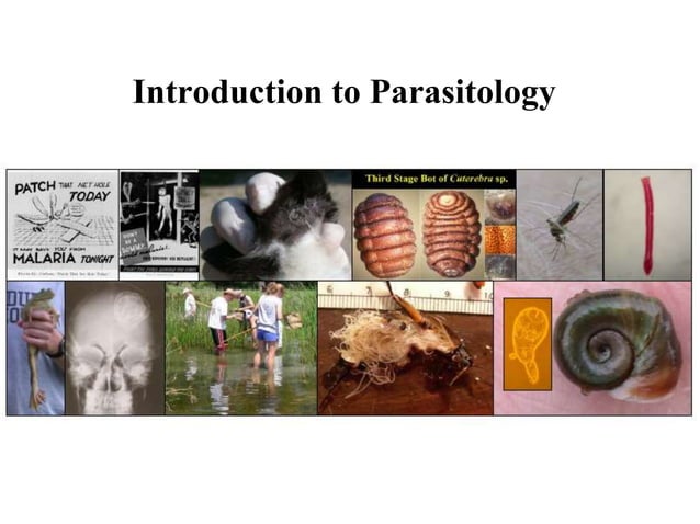 Introduction to Parasitology and Protozoa .ppt | Infectious Diseases ...