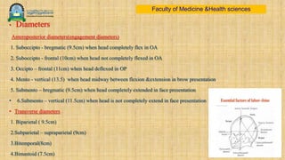 1.normal labor & delivery.pptx