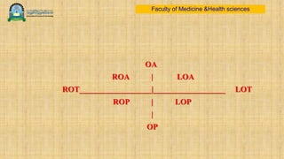 1.normal labor & delivery.pptx