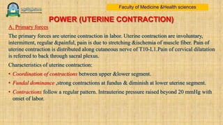1.normal labor & delivery.pptx