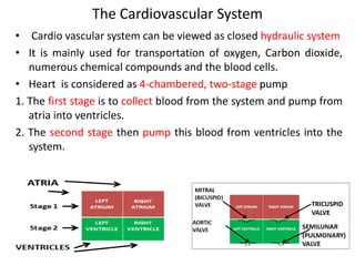 Cardiovascular system it is related to biomedical | PPTX