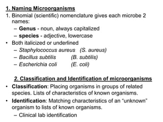 1. INTRODUCTION TO MEDICAL MICROBIOLOGY-1 - Copy.ppt