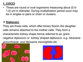 1. INTRODUCTION TO MEDICAL MICROBIOLOGY-1 - Copy.ppt