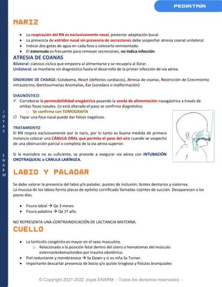1. Atención del Recién Nacidorecien nacido | PDF