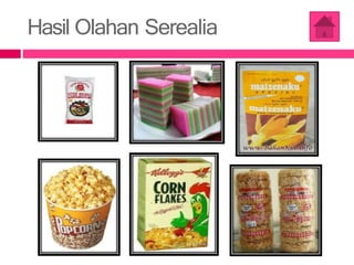 SEREALIA DAN KACANG-KACANGAN (PRODUKSI PENGOLAHAN HASIL NABATI) | PPTX