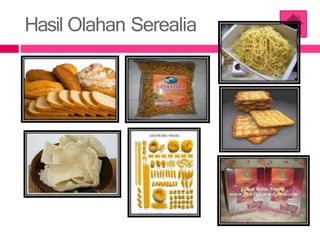 SEREALIA DAN KACANG-KACANGAN (PRODUKSI PENGOLAHAN HASIL NABATI) | PPTX