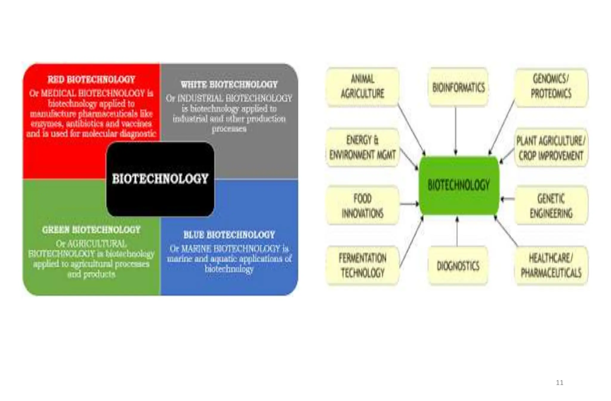1. Introduction about biotechnology.pptx