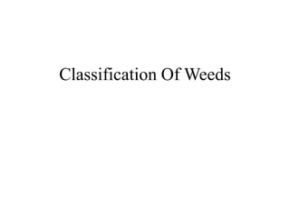 1. Classification Of Weeds.pptx