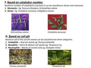 1. Classification Of Weeds.pptx