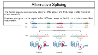1.4 Genetic code in the DNA and RNA.pptx