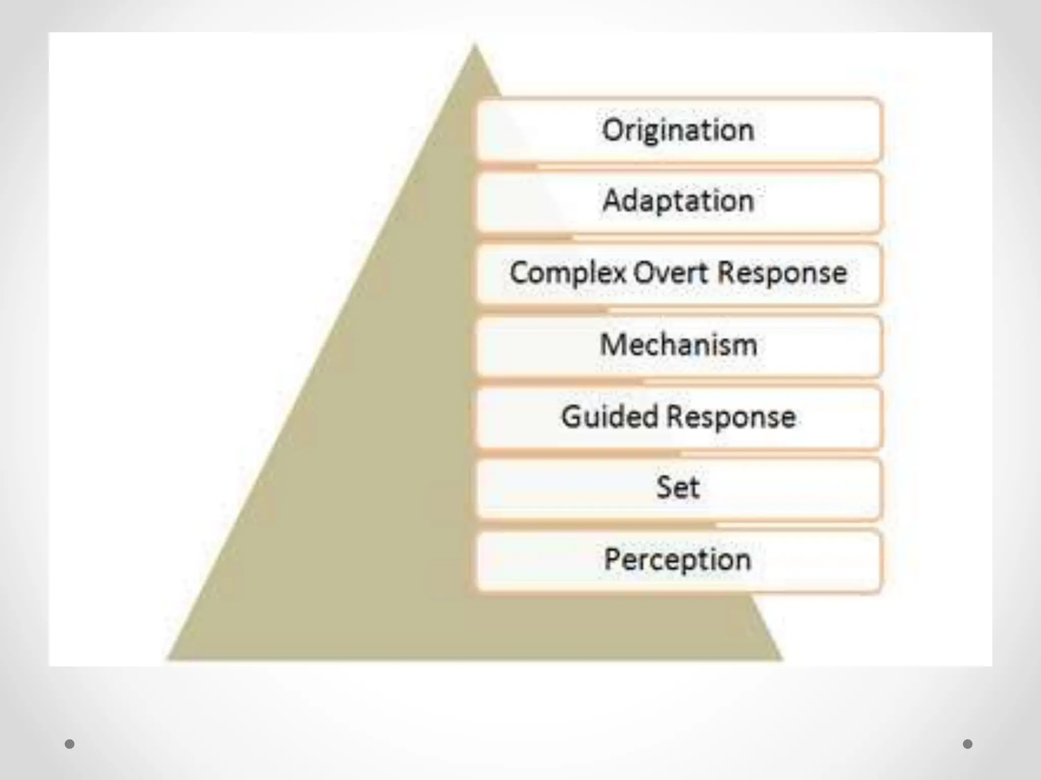 Blooms Taxonomy of Hierarchy of learning | PPTX