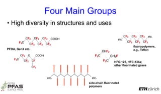 OECD Global Forum on the Environment dedicated to Per- and Polyfluoroalkyl Substances: An ...