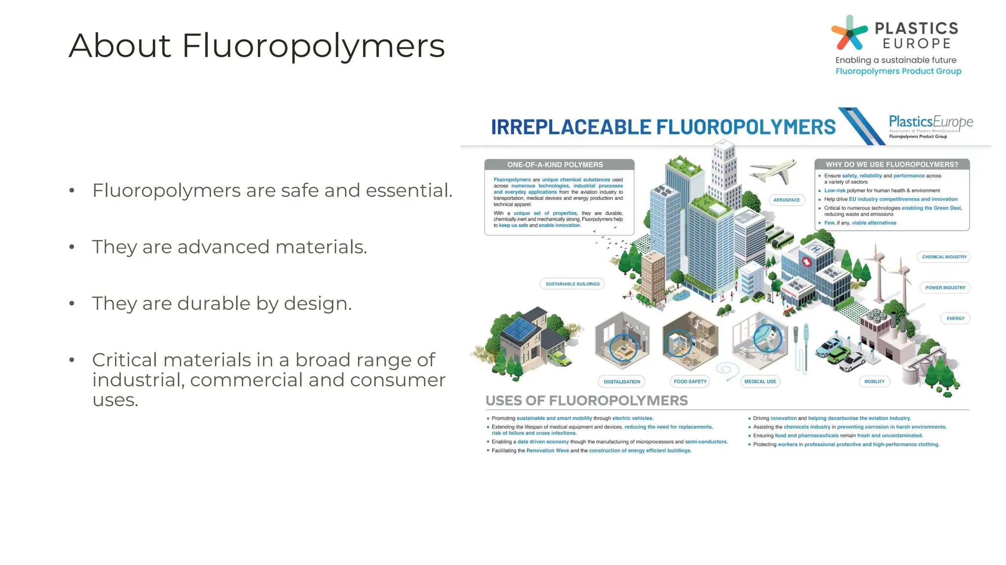 OECD Global Forum on the Environment dedicated to Per- and ...