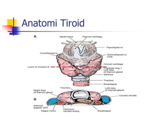 1. Hipertiroid in clinical health care.pdf