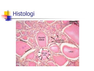1. Hipertiroid in clinical health care.pdf