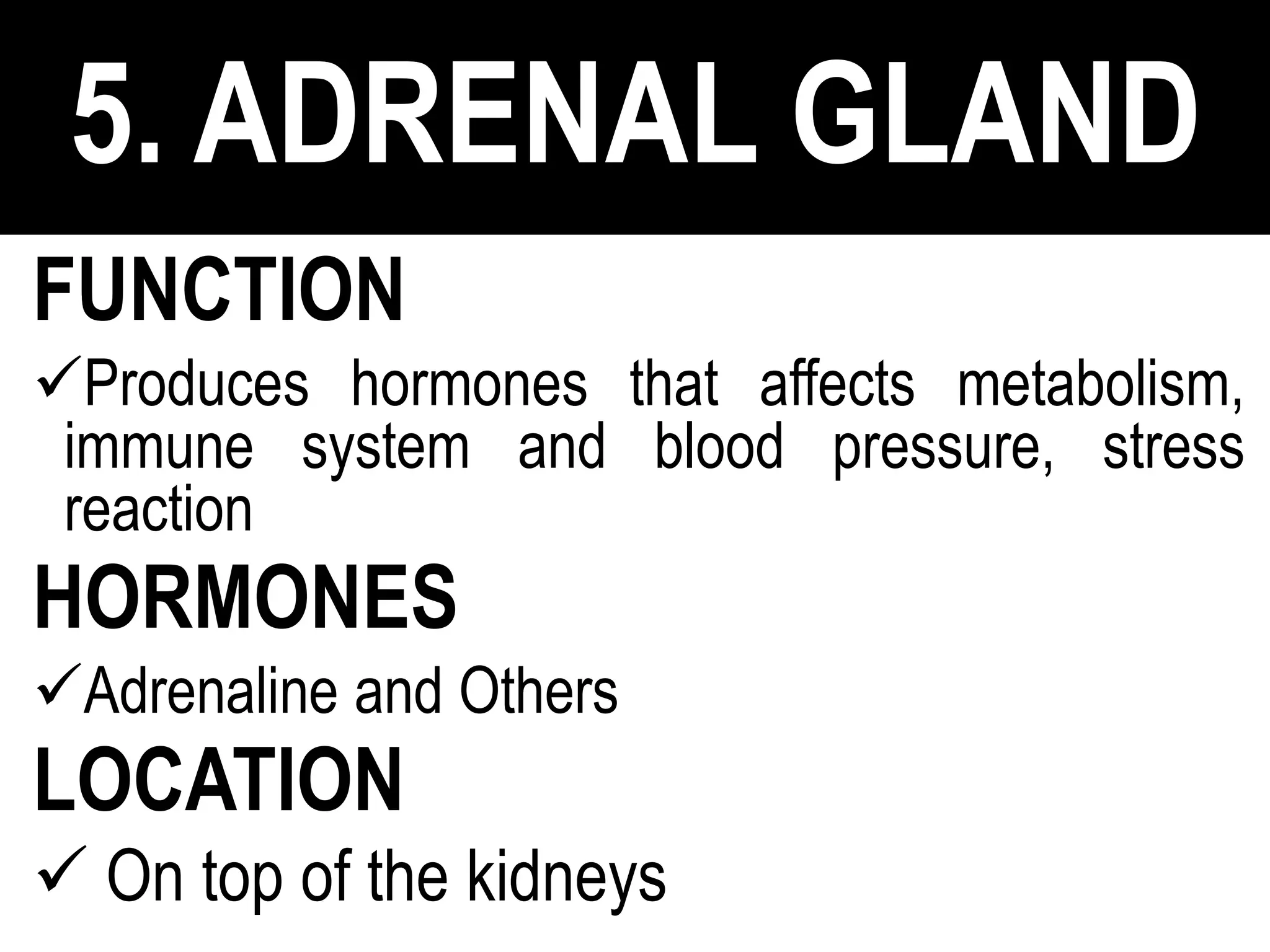 The endocrine system grade 10 quarter 3 science | PPTX