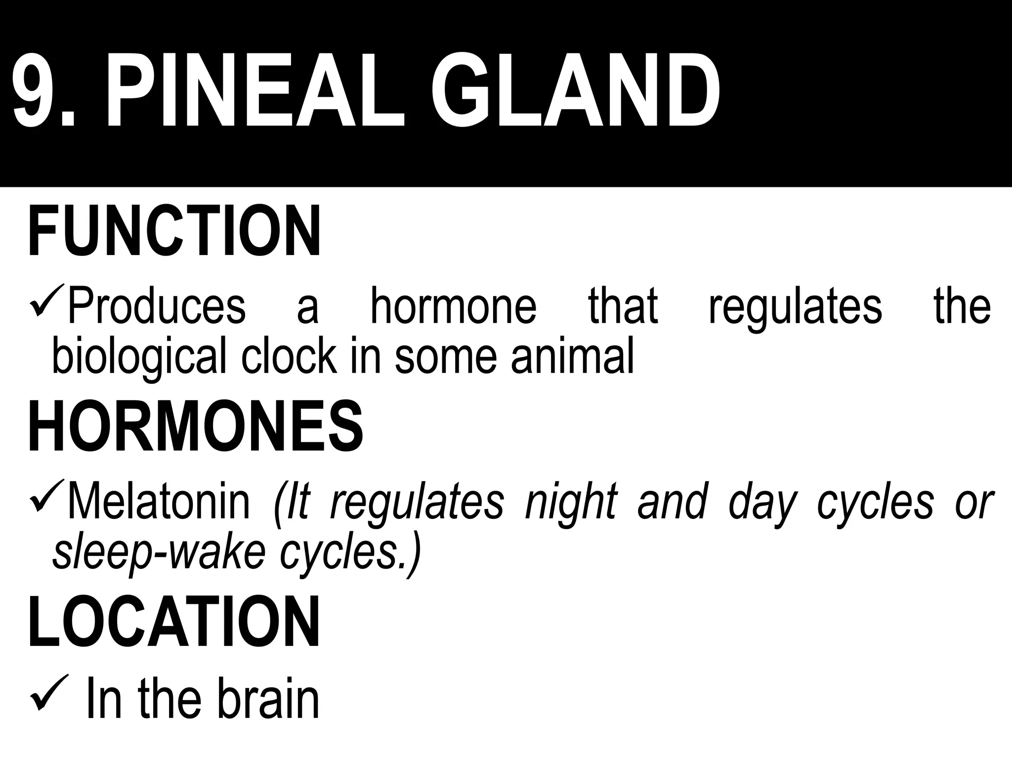 The endocrine system grade 10 quarter 3 science | PPTX