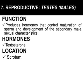 The endocrine system grade 10 quarter 3 science | PPTX