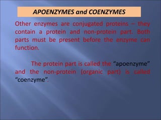 1. Enzyme chemistrynnnnnnnnjjjnjnnnnn.ppt | Chemistry | Science