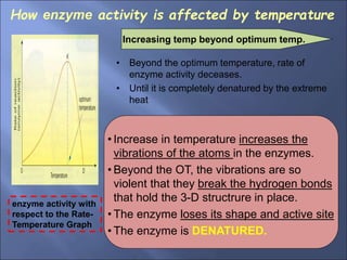 1. Enzyme chemistrynnnnnnnnjjjnjnnnnn.ppt