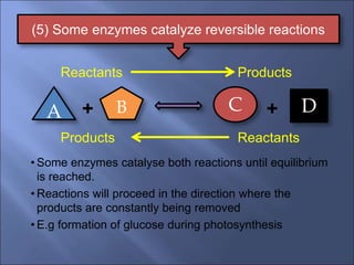 1. Enzyme chemistrynnnnnnnnjjjnjnnnnn.ppt