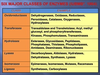 1. Enzyme chemistrynnnnnnnnjjjnjnnnnn.ppt