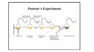 1. INTRODUCTION TO MICROBIOLOGY.pdf hpp@ | PPT