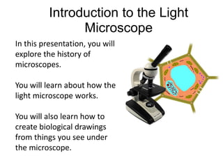 1.0 - The Light Miscroscope.ppt microscopy | PPT