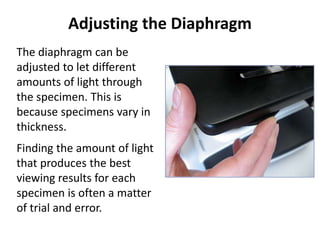1.0 - The Light Miscroscope.ppt microscopy | PPT