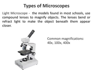 1.0 - The Light Miscroscope.ppt microscopy | PPT