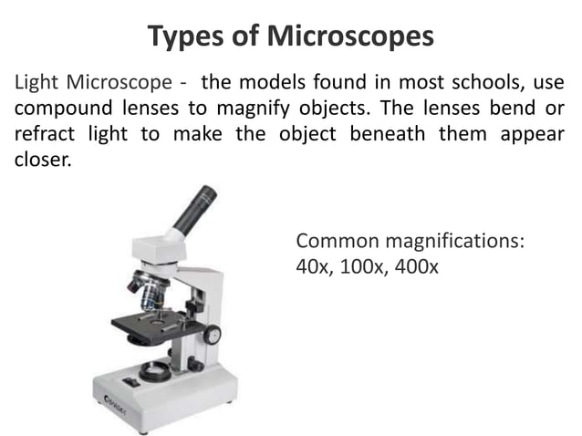 1.0 - The Light Miscroscope.ppt microscopy | PPT