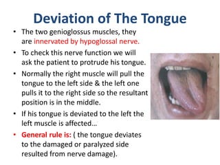 1.anatomy of Oral cavity & Salivary glands.pdf