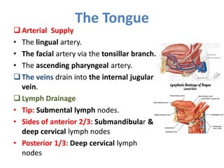 1.anatomy of Oral cavity & Salivary glands.pdf