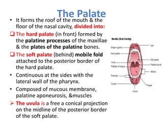 1.anatomy of Oral cavity & Salivary glands.pdf