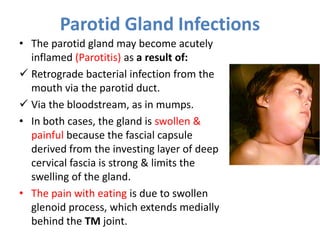 1.anatomy of Oral cavity & Salivary glands.pdf
