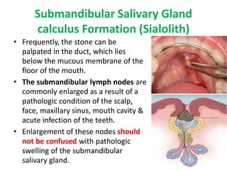 1.anatomy of Oral cavity & Salivary glands.pdf