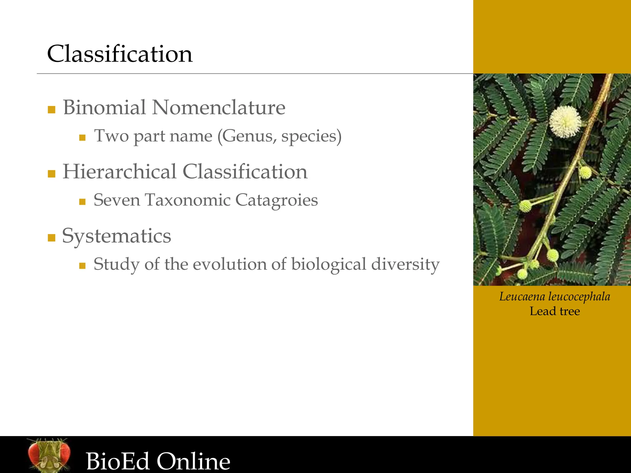 introduction to biological classification | PPT