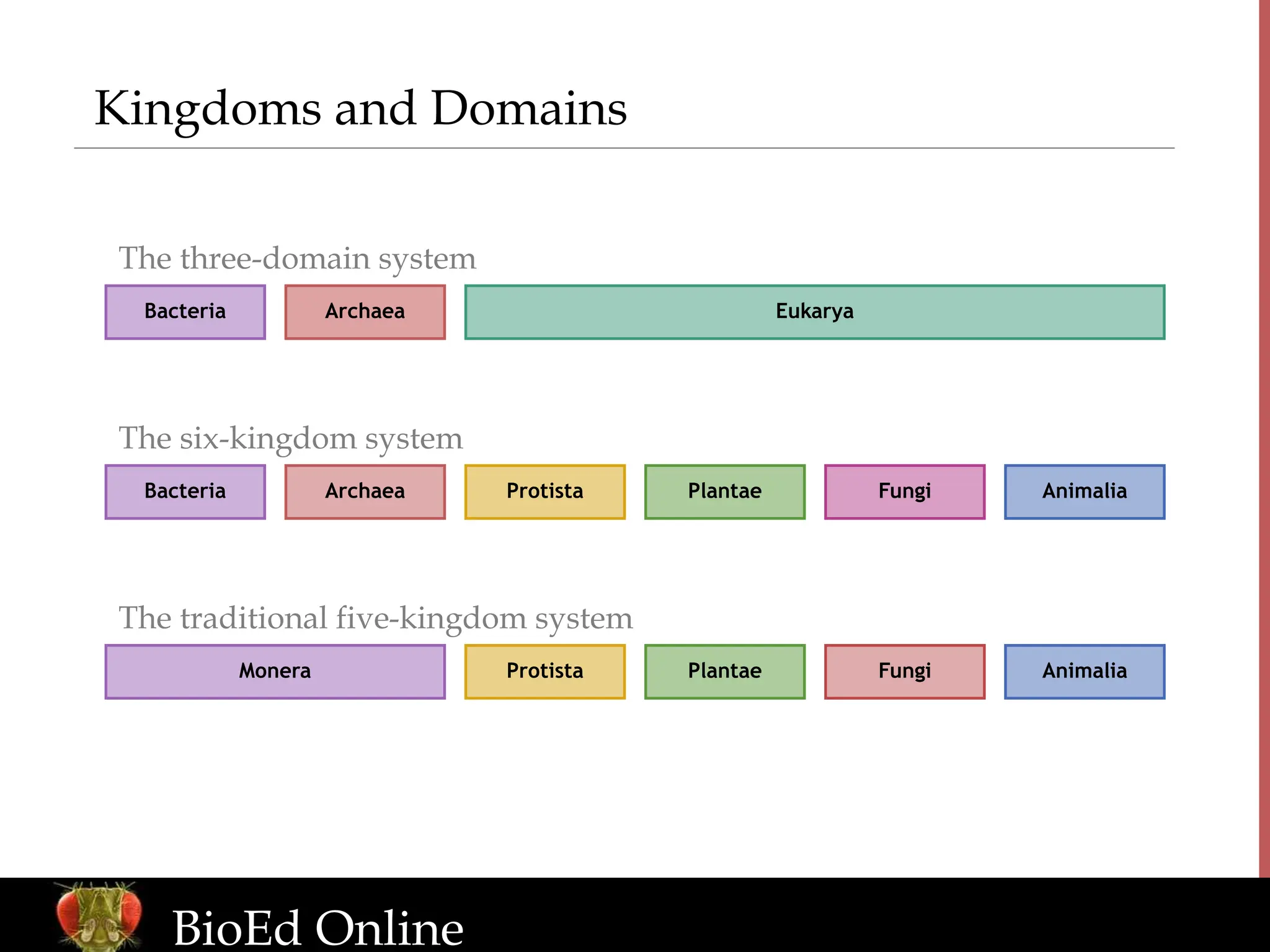introduction to biological classification | PPT