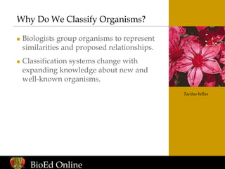 introduction to biological classification | PPT