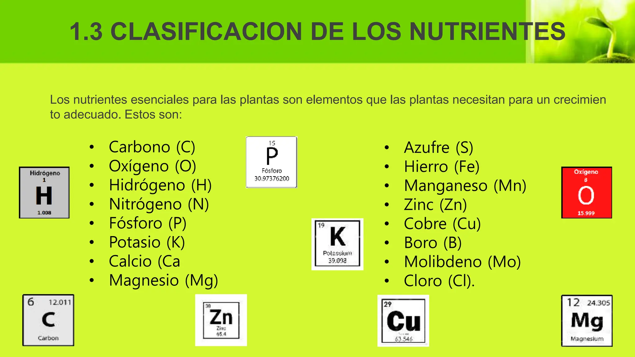 1.3 clasificación de los nutrientes de la planta.pptx